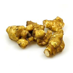 Topinambur - Boßhammersch Hof